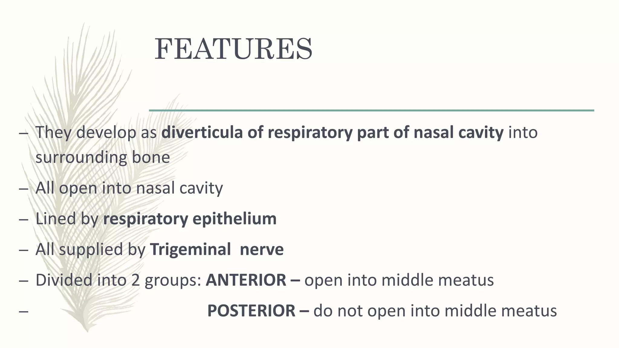 paranasal air sinus | PPTX