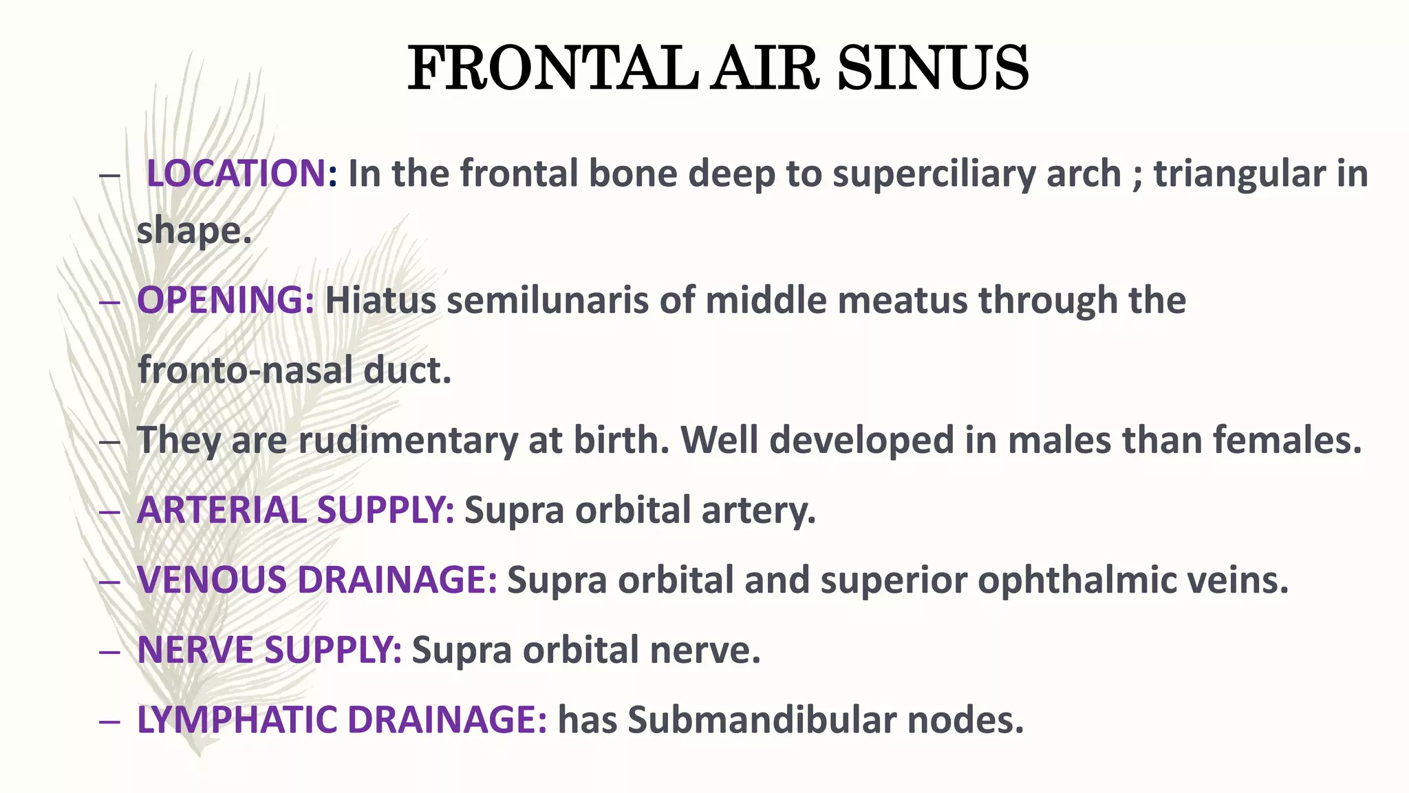 paranasal air sinus | PPTX