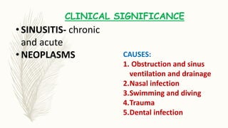 paranasal air sinus | PPTX