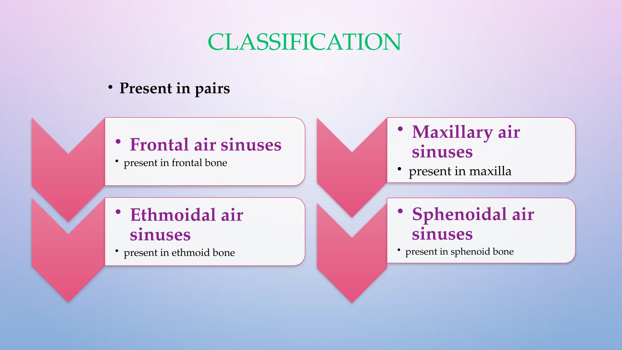 Paranasal Air Sinuses present in human skull | PPTX