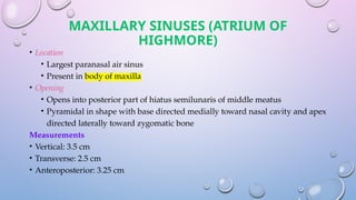 Paranasal Air Sinuses present in human skull | PPTX