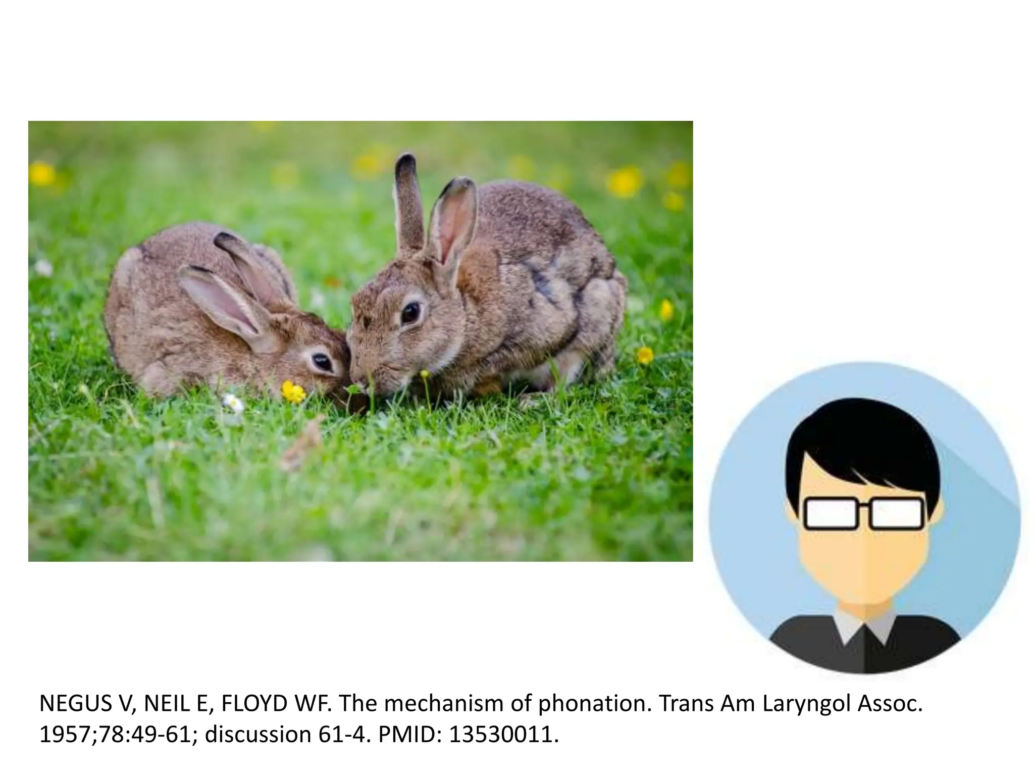 Seminar on para nasal sinus and it's prosthodontics implications | PPTX