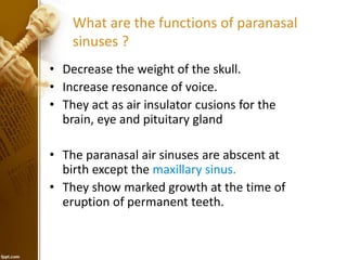 3 Functions Of Paranasal Sinuses