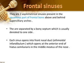 Paranasal sinuses | PPT