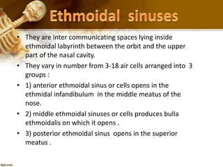 Paranasal sinuses | PPT
