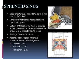 Paranasalsinuses | PDF