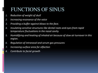 Paranasalsinuses | PDF