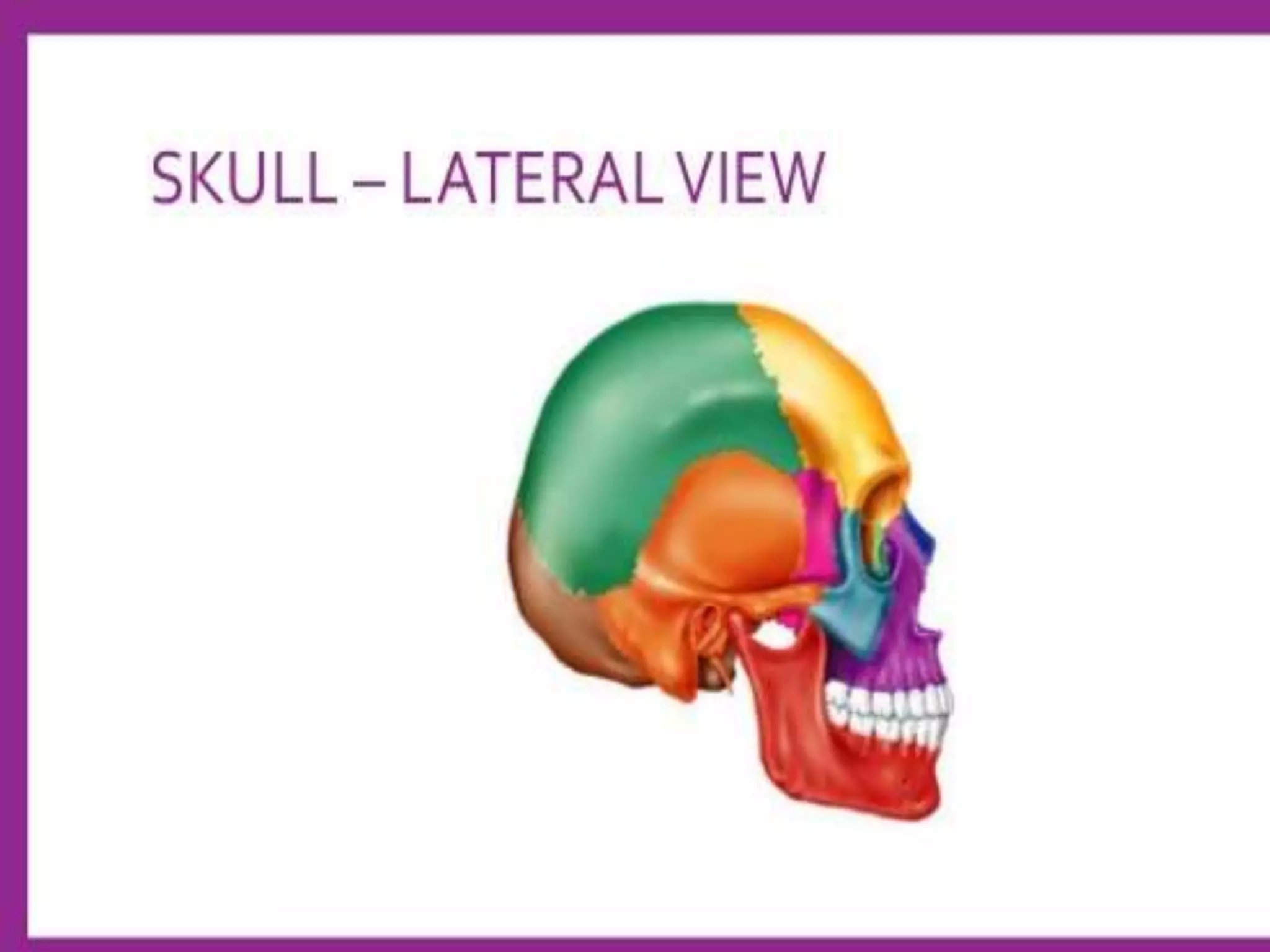 X-Ray skull & Paranasal sinuses | PPT
