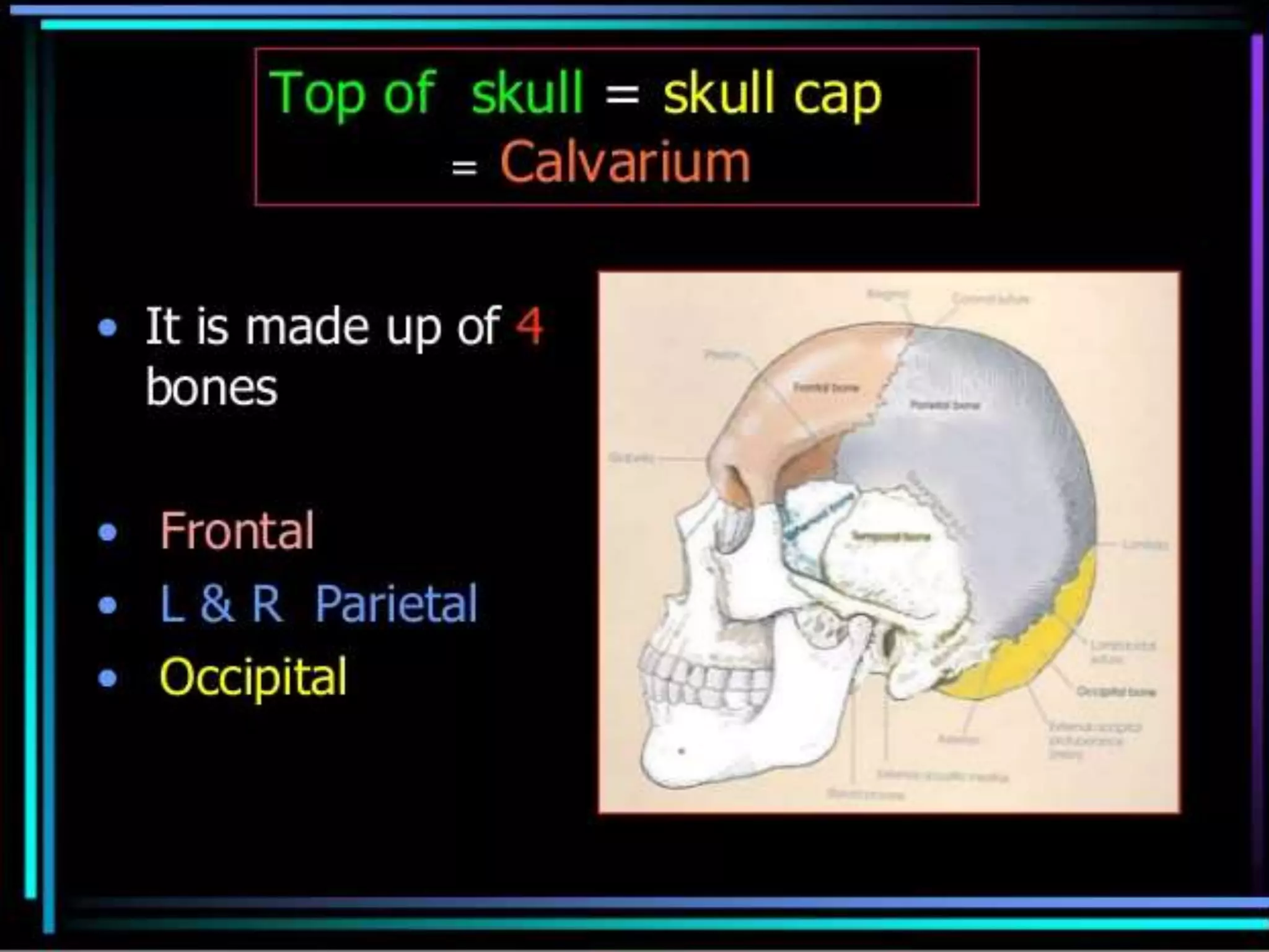 X-Ray skull & Paranasal sinuses | PPT
