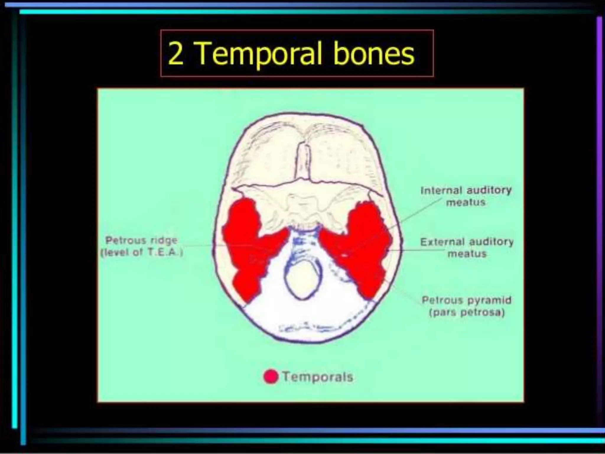 X-Ray skull & Paranasal sinuses | PPT