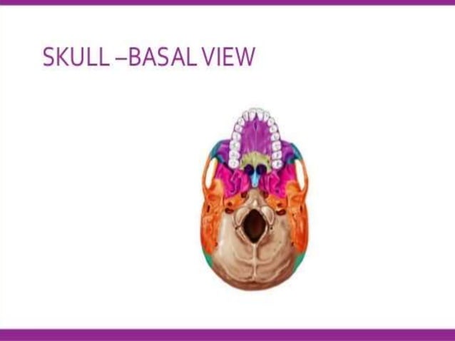 X-Ray skull & Paranasal sinuses | PPT