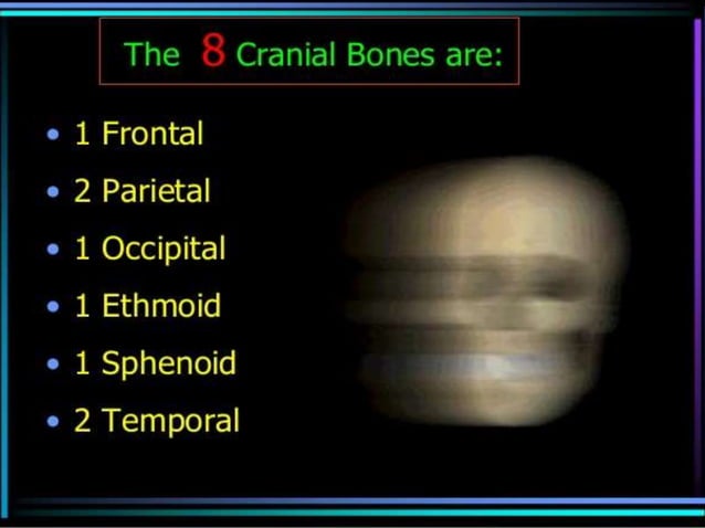 X-Ray skull & Paranasal sinuses | PPT