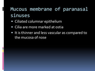 Paranasal sinuses | PPT