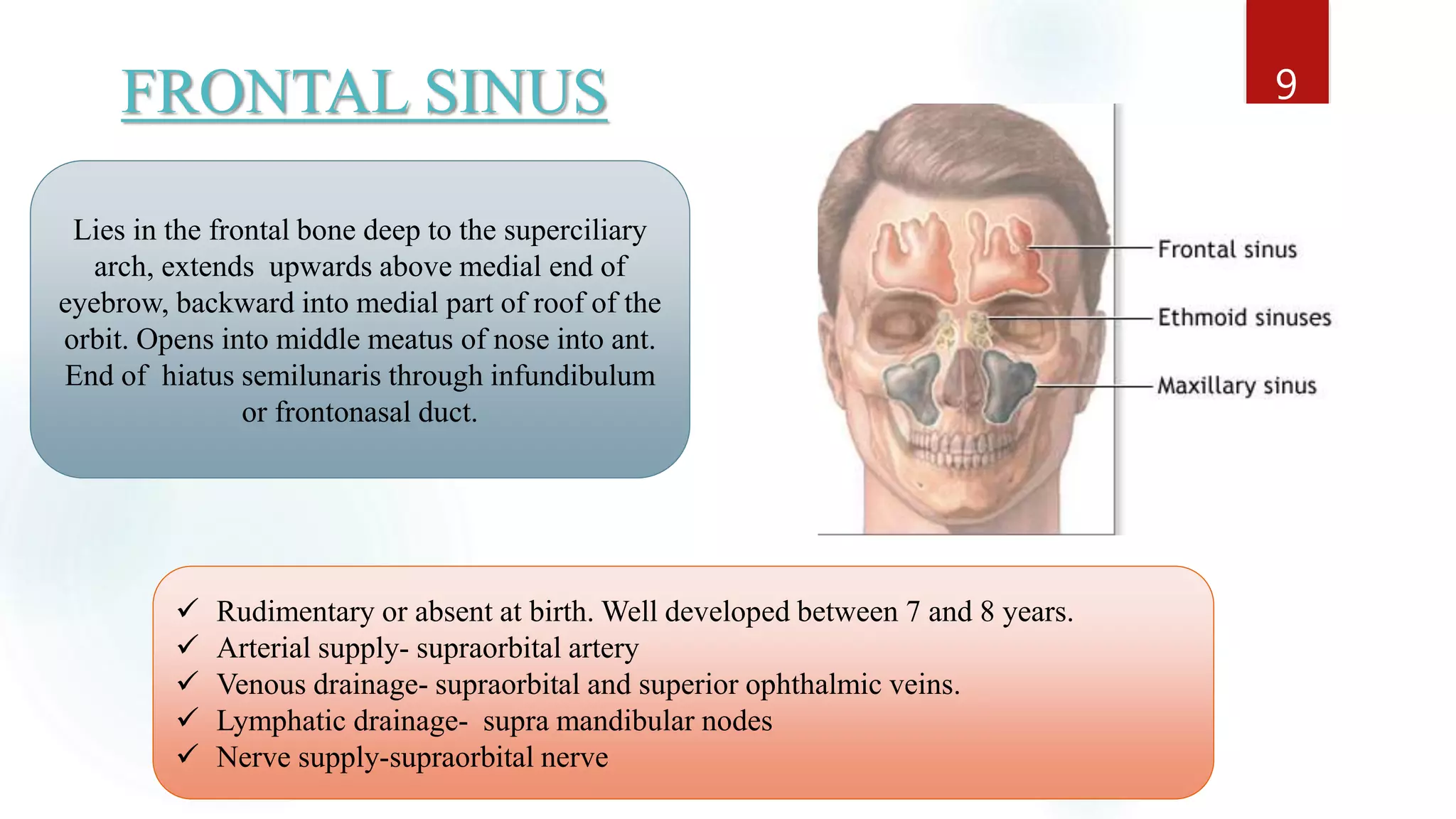 Paranasal sinuses | PPTX