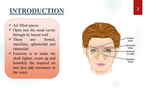 Paranasal sinuses | PPTX