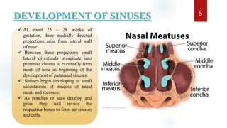 Paranasal sinuses | PPTX