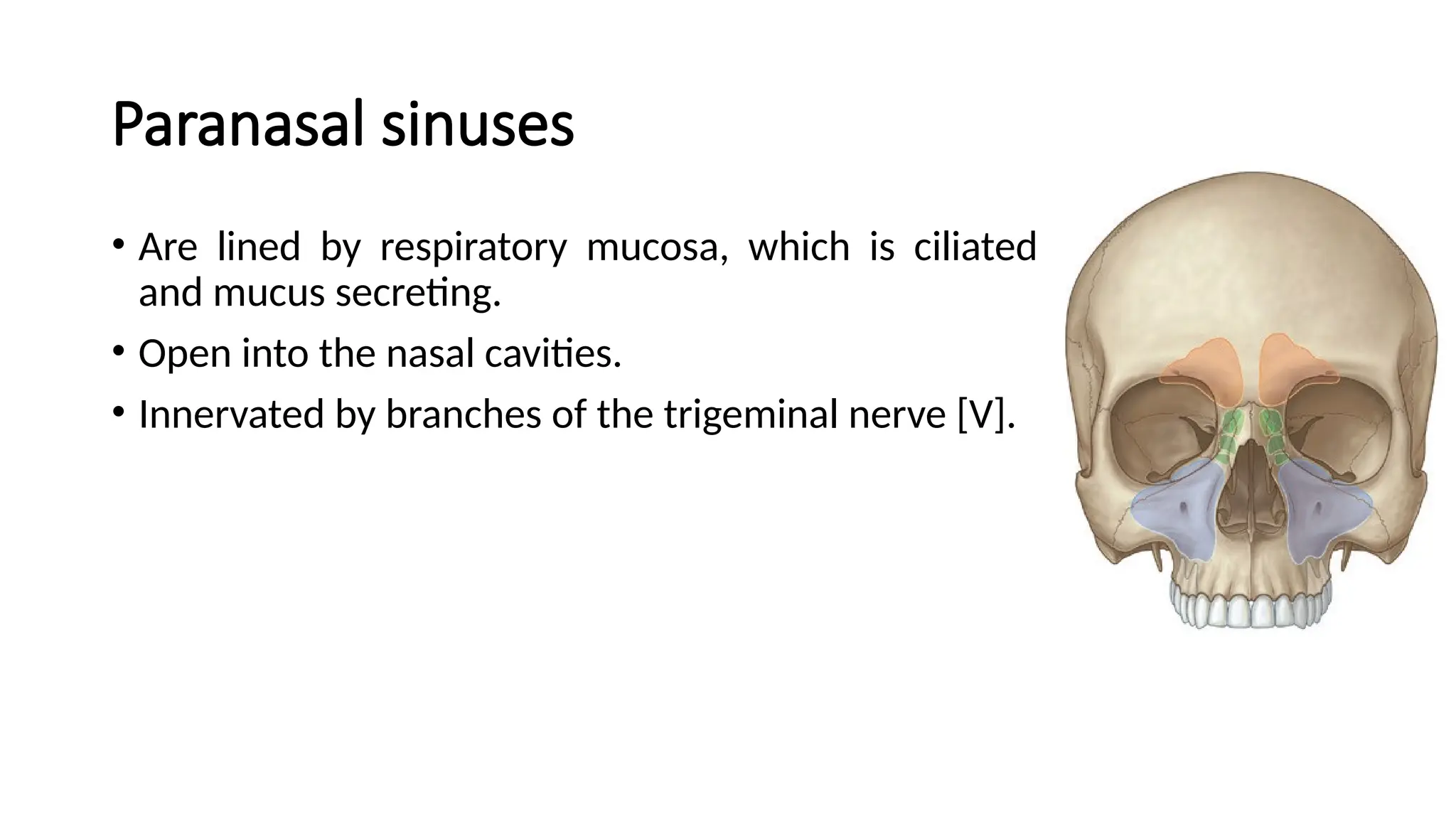 Paranasal sinuses (Upper respiratory tract).pptx