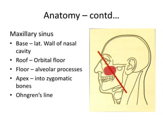 Paranasal sinuses carcinoma | PPTX