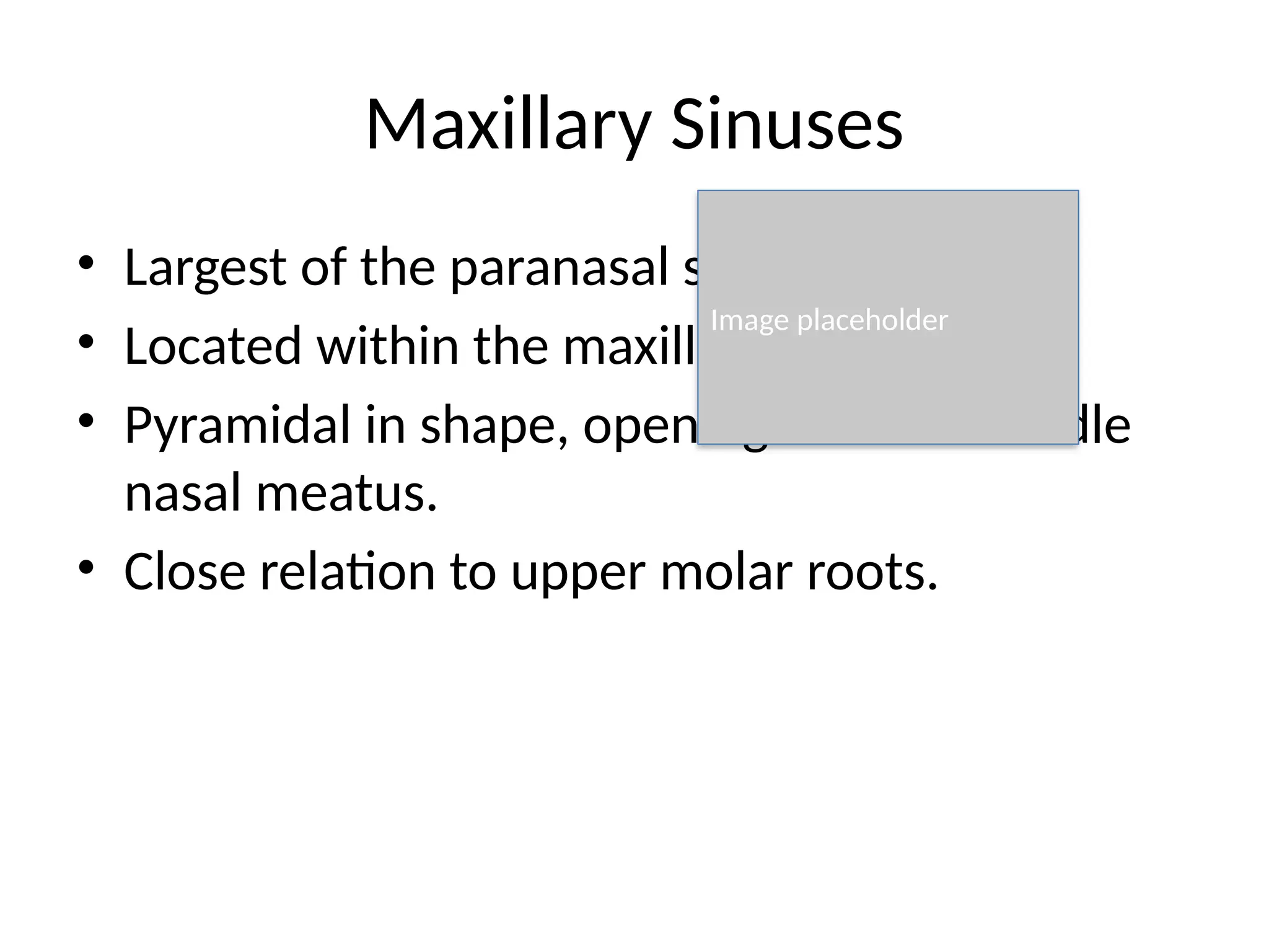 Paranasal_Sinuses_With_Diagramsssss.pptx