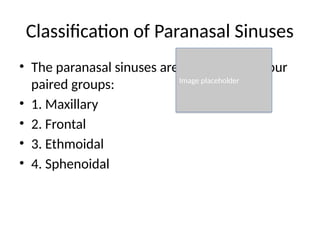 Paranasal_Sinuses_With_Diagramsssss.pptx