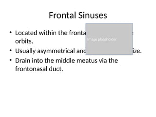 Paranasal_Sinuses_With_Diagramsssss.pptx