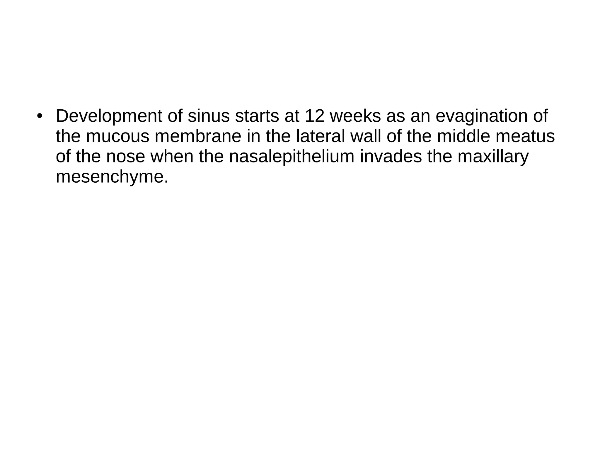 Paranasal sinuses | ODP