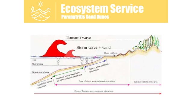 Field Trip: Parangtritis Geomaritime Science Park | PPT