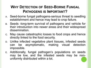 Modern Techniques for Detection of Seed Born Fungi. | PPTX