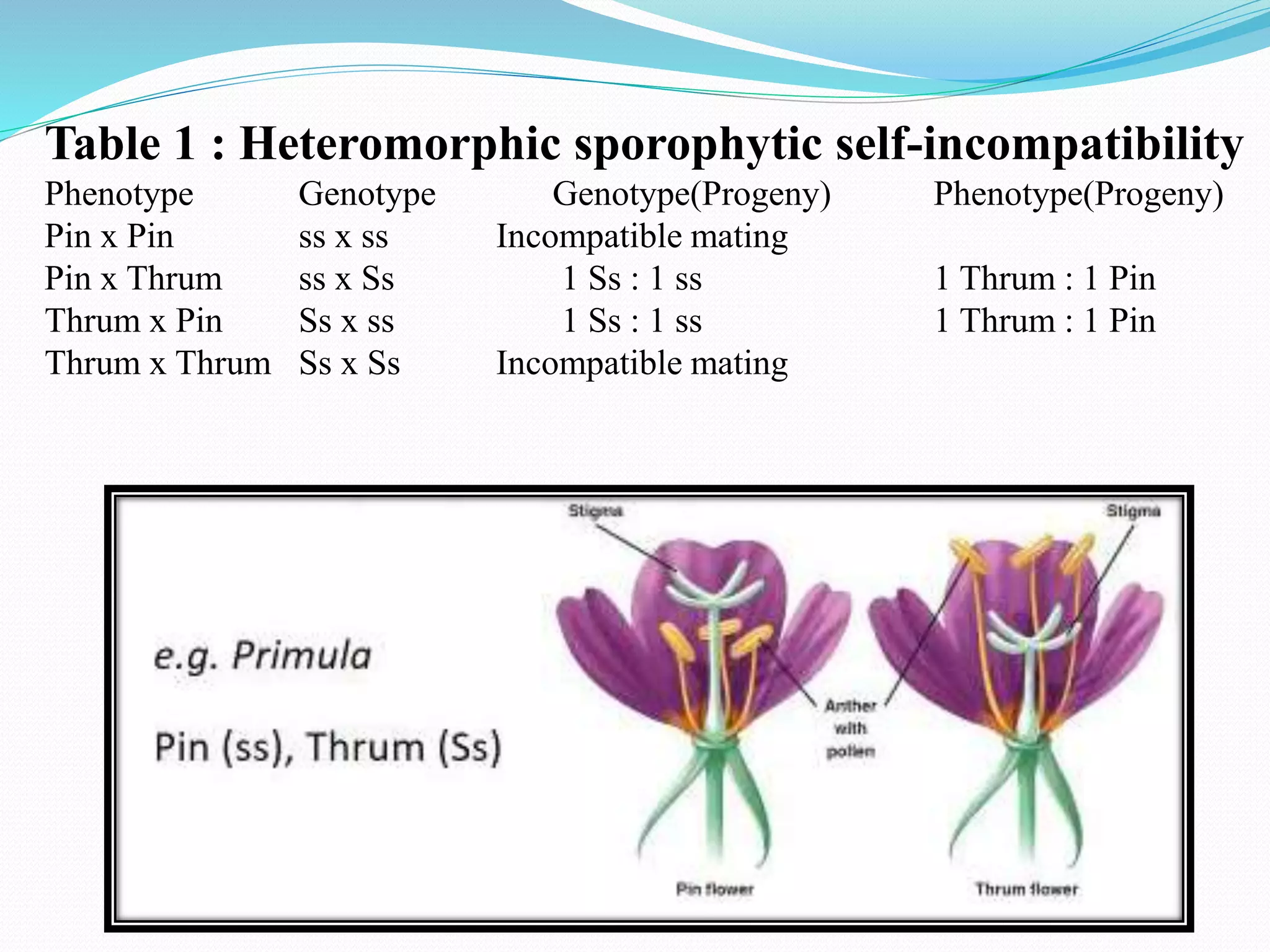 Self incompatibility in hybrid seed production | PPTX