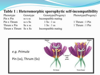 Self incompatibility in hybrid seed production | PPTX