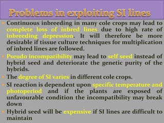 Self incompatibility in hybrid seed production | PPTX