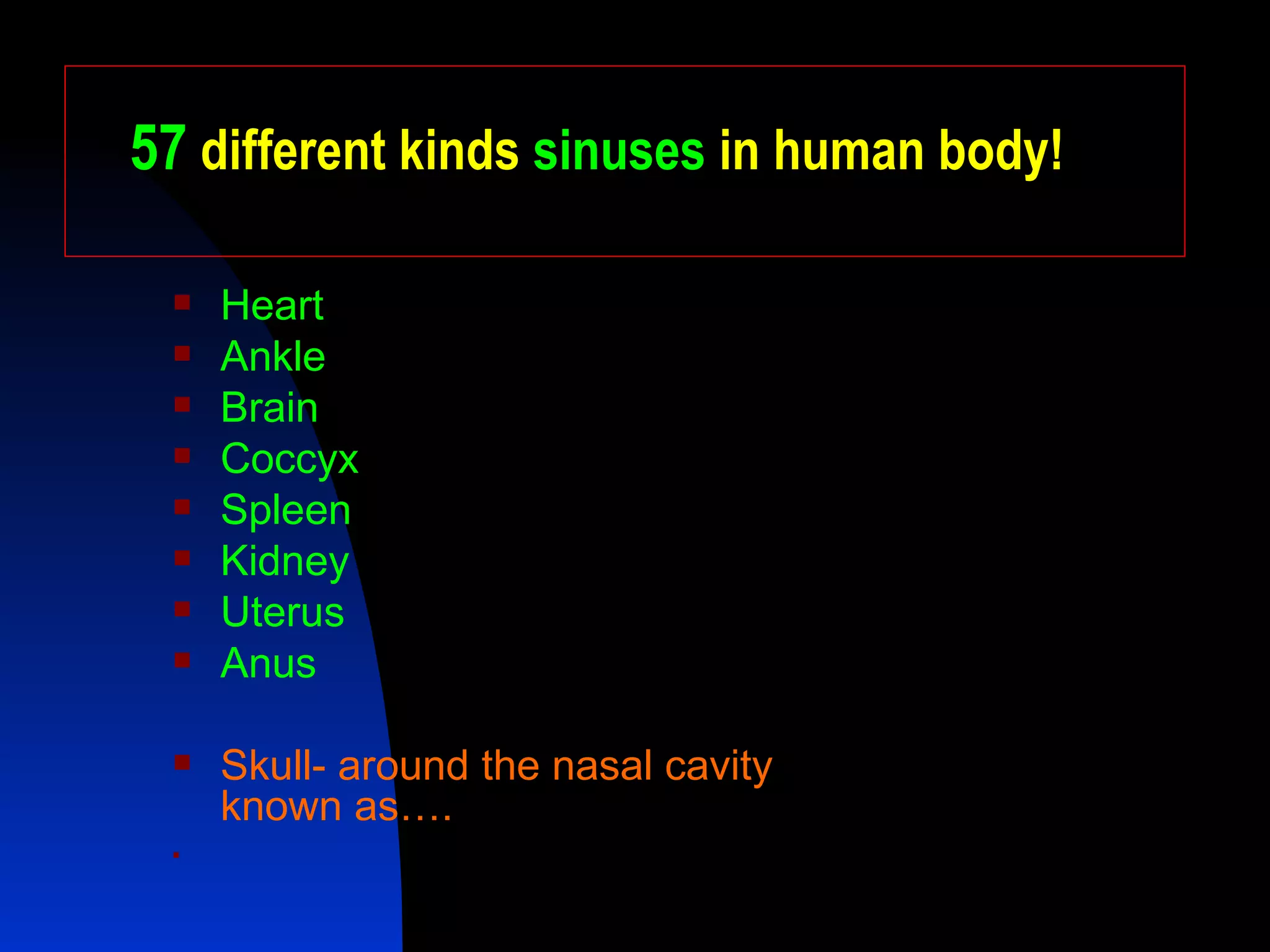 Paransasal Sinuses Home Edition | PPT