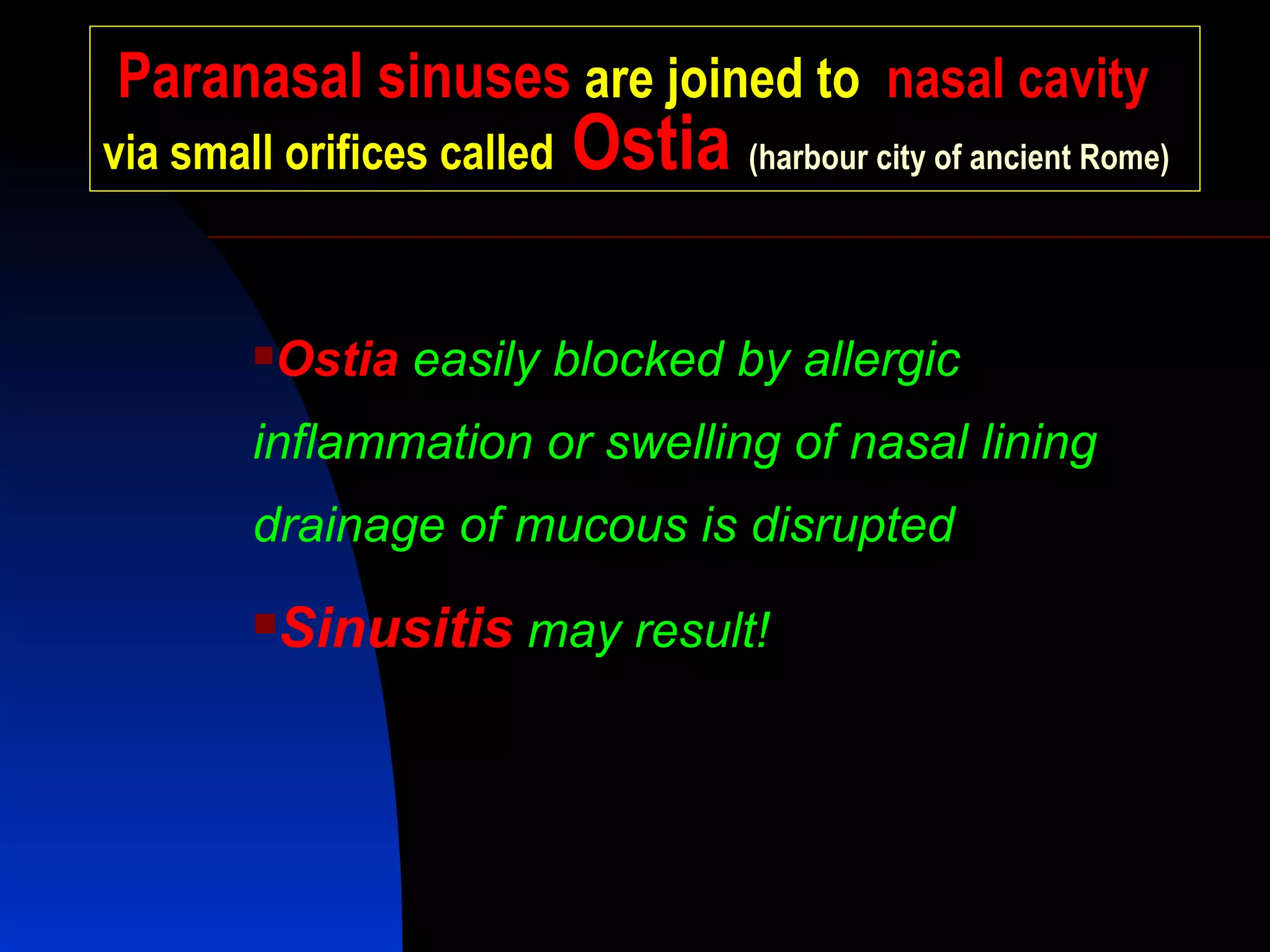 Paransasal Sinuses Home Edition | PPT