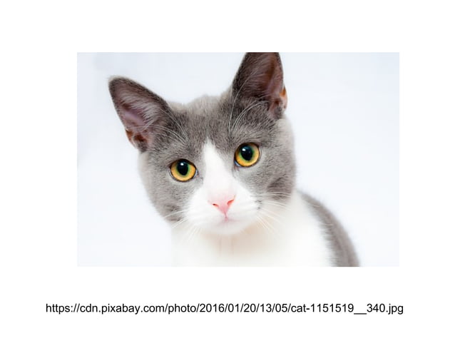 Para open sankore | PPT