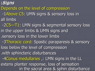 Paraparesis | PPT