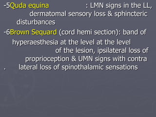 Paraparesis | PPT