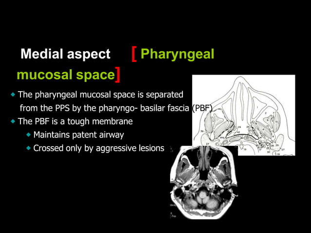 ALL ABOUT DETALED DESCRIPTION Parapharyngeal-spaces.pptx