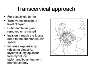 Parapharyngeal tumors ug - 01.08.2016 - prof.s.gobalakrishnan | PPT ...