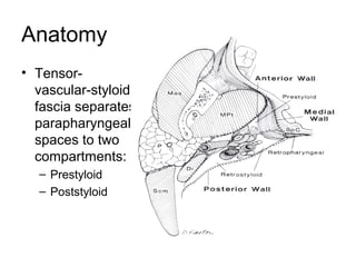 Parapharyngeal tumors ug - 01.08.2016 - prof.s.gobalakrishnan | PPT