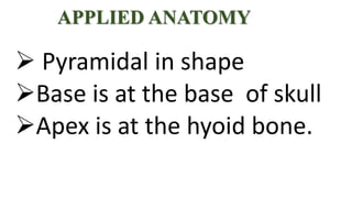 PARAPHARYNGEAL ABSCESS.pptx
