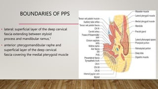 parapharyngealspace-2006191457567813.pptx
