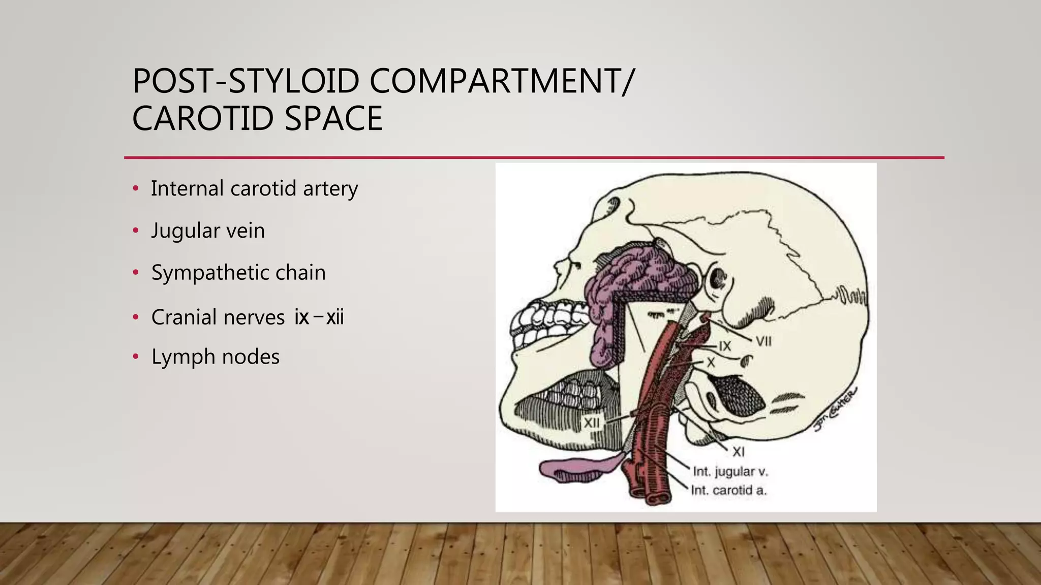 Parapharyngeal space | PPTX