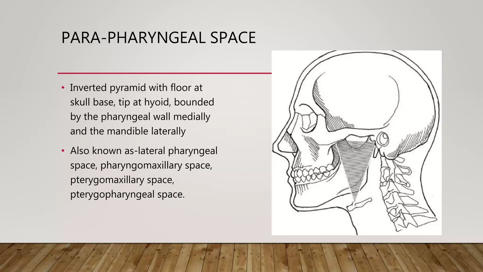 Parapharyngeal space | PPTX | Ear, Nose and Throat Conditions ...