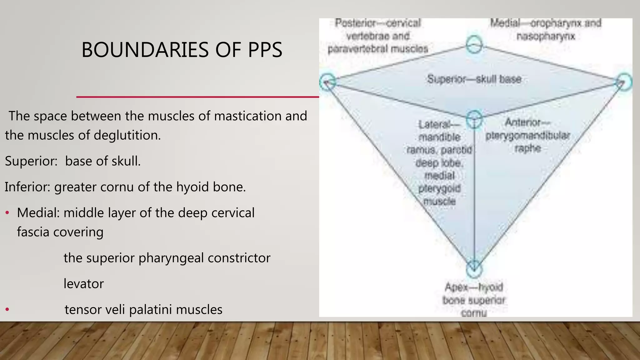 Parapharyngeal space | PPTX