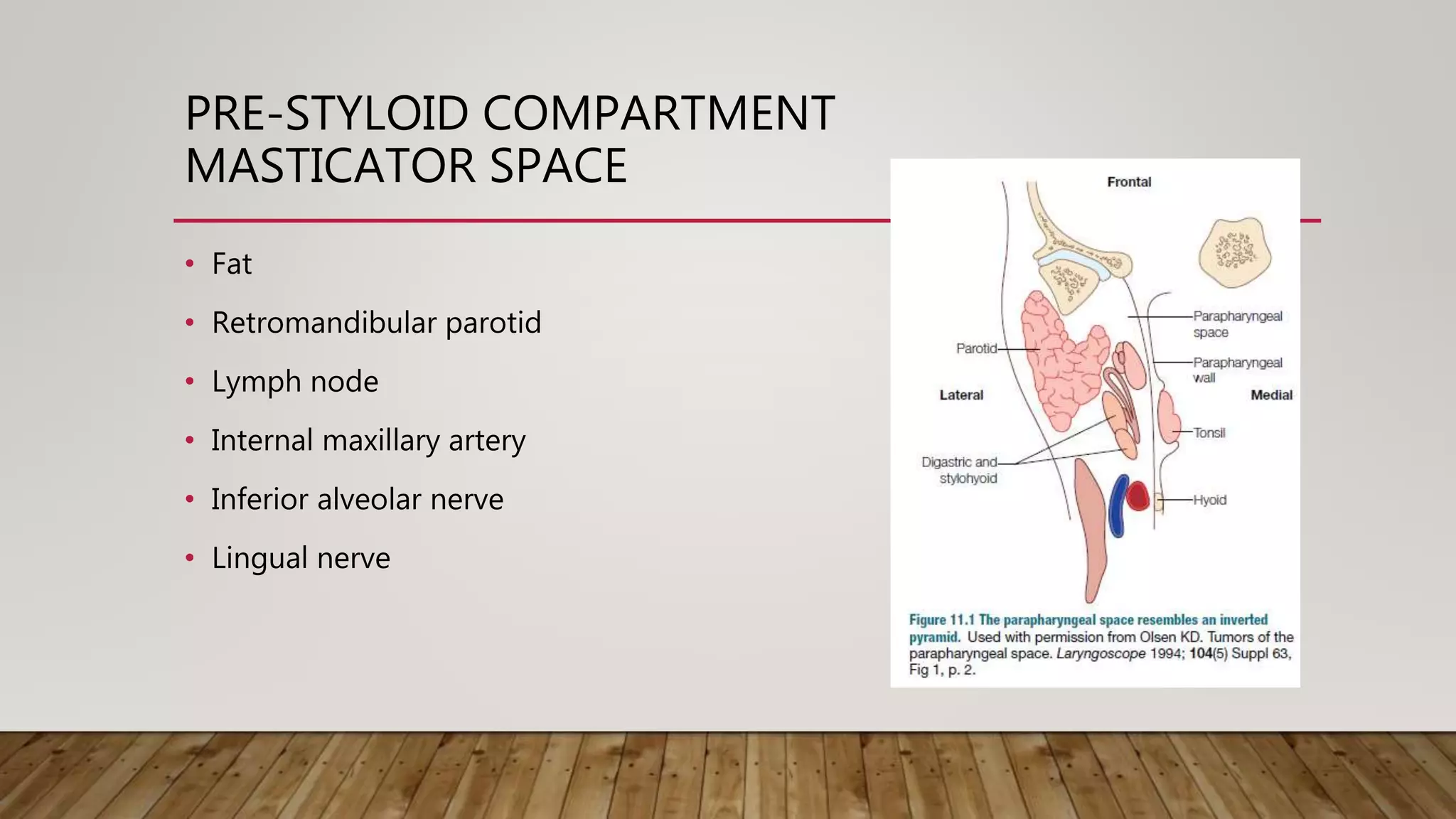Parapharyngeal space | PPTX