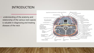 Parapharyngeal space | PPTX