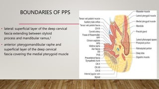 Parapharyngeal space | PPTX