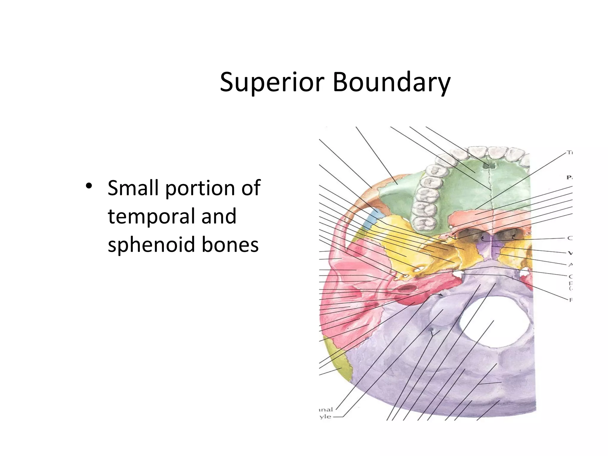 Parapharyngeal space tumours | PPT