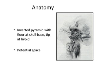 Parapharyngeal space tumours | PPT