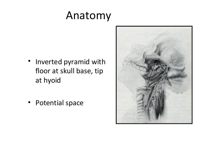 Parapharyngeal space tumours